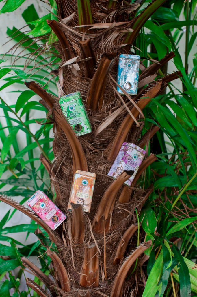 Curing the Caribbean one cup of tea at a time - Caribbean Export