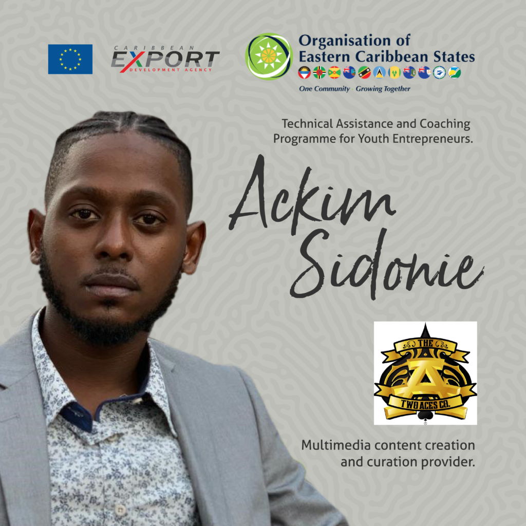 OECS Youth Entrepreneurs Navigating Turbulent Times with Professional ...