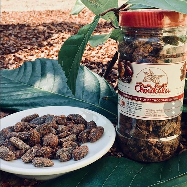 Fabrica de Chocolate Artesanal Chocolala SRL | Caribbean Export