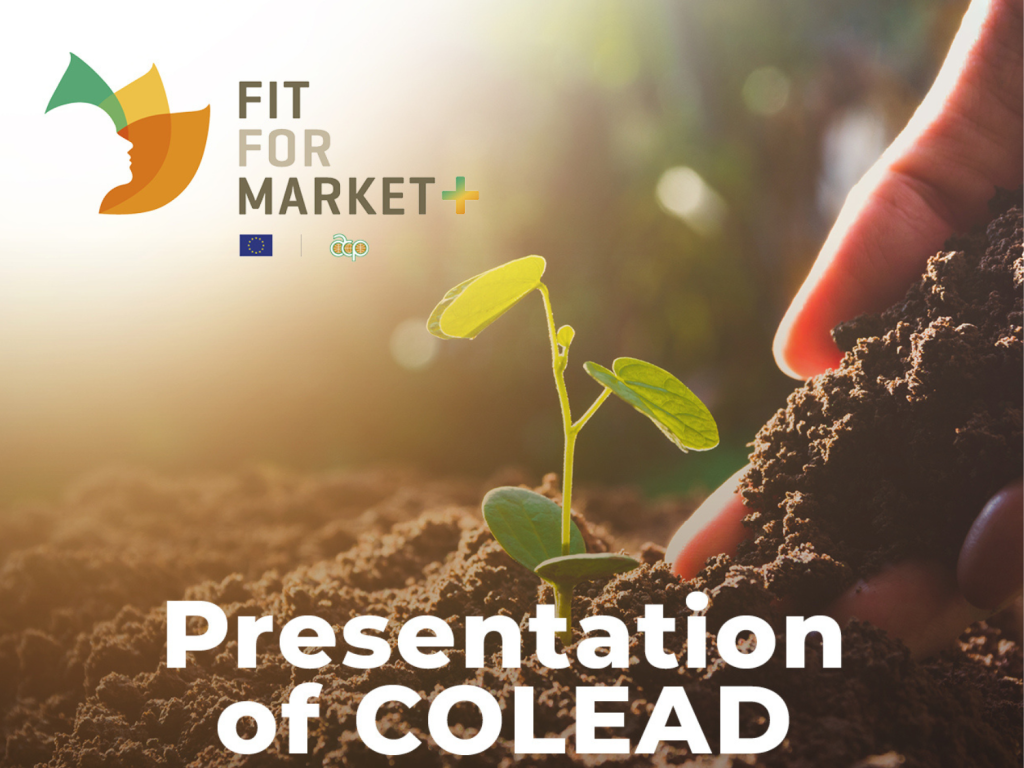 Presentation of COLEAD : programmes, services and activities in the Caribbean region - Caribbean ...