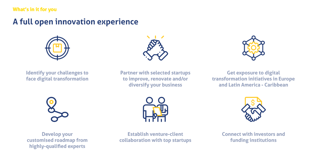 Call for Challenges- EU-LAC Digital Accelerator | Caribbean Export