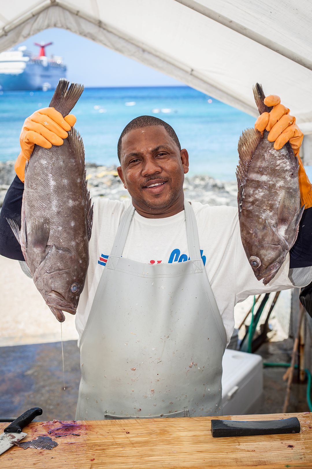 Blog Archives - Caribbean Export