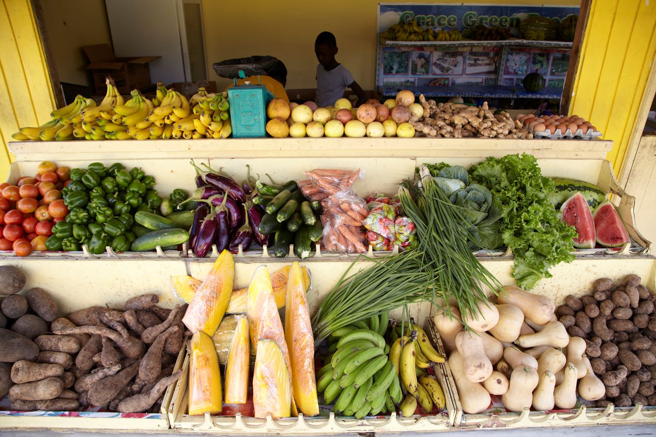 Blog Archives - Caribbean Export