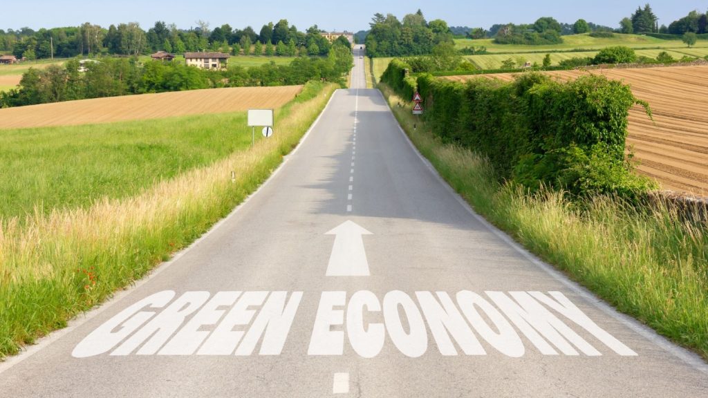 GREEN ECONOMY TRANSITION UNDERWAY IN THE CARIBBEAN - Caribbean Export